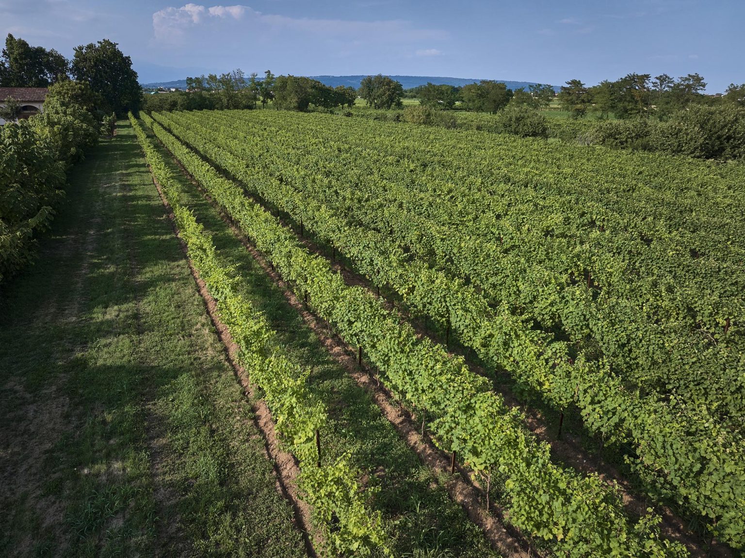 Zapparè Farm Hotel: Farmhouse With Pool near Bassano del Grappa ...